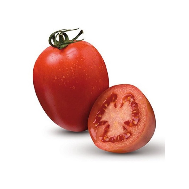 Seminte tomate (rosii) - Horticola